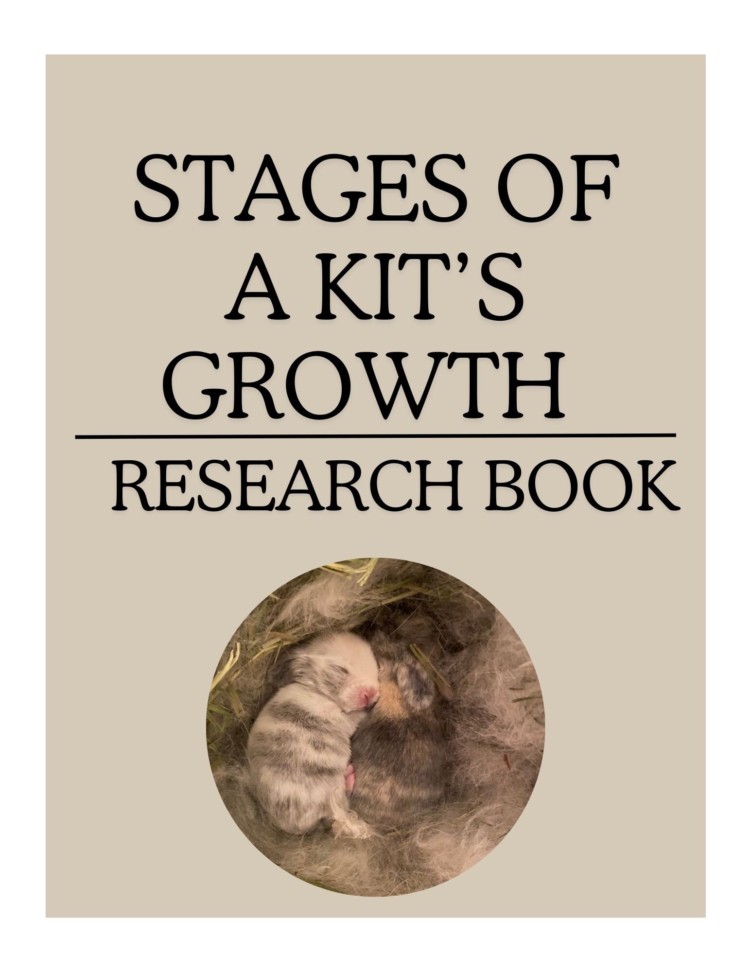 Stages of a Rabbit’s Growth Digital Book, Rabbit Kit Development ...