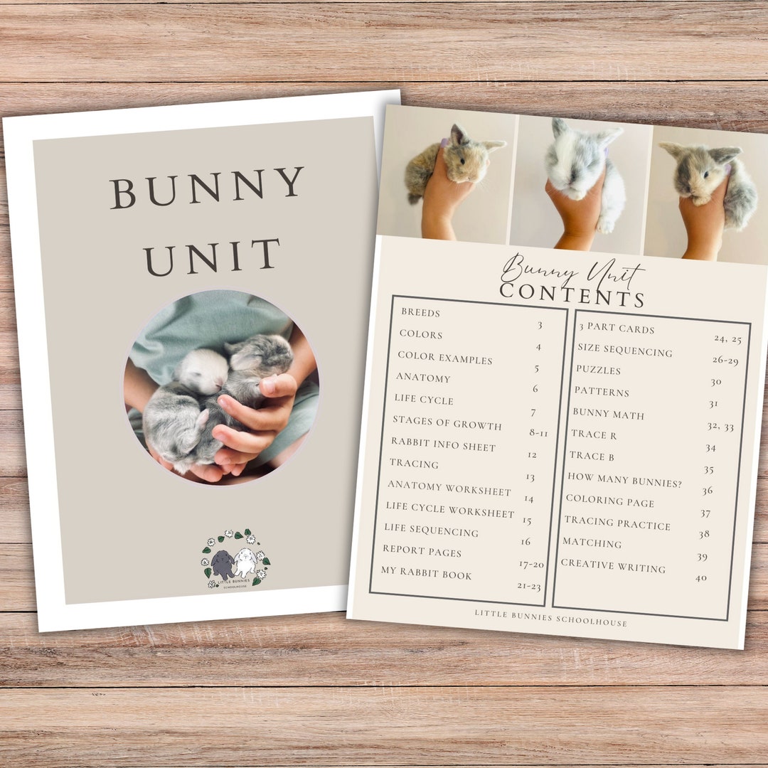 Bunny Unit BUNDLE, Spring Homeschool Unit, Rabbit Activity Bundle ...