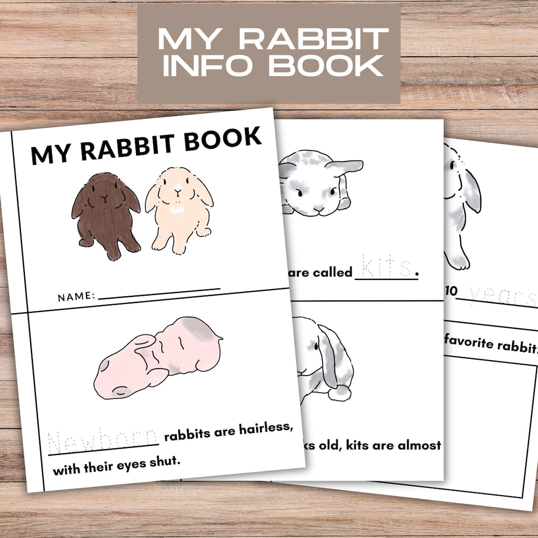 My Rabbit Book, INSTANT DOWNLOAD, Preschool Book About Rabbits - Etsy