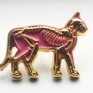X-ray Cat Pins (soft Enamel) - Etsy Canada
