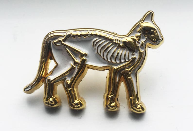 X-ray Cat Pins (soft Enamel) - Etsy Canada