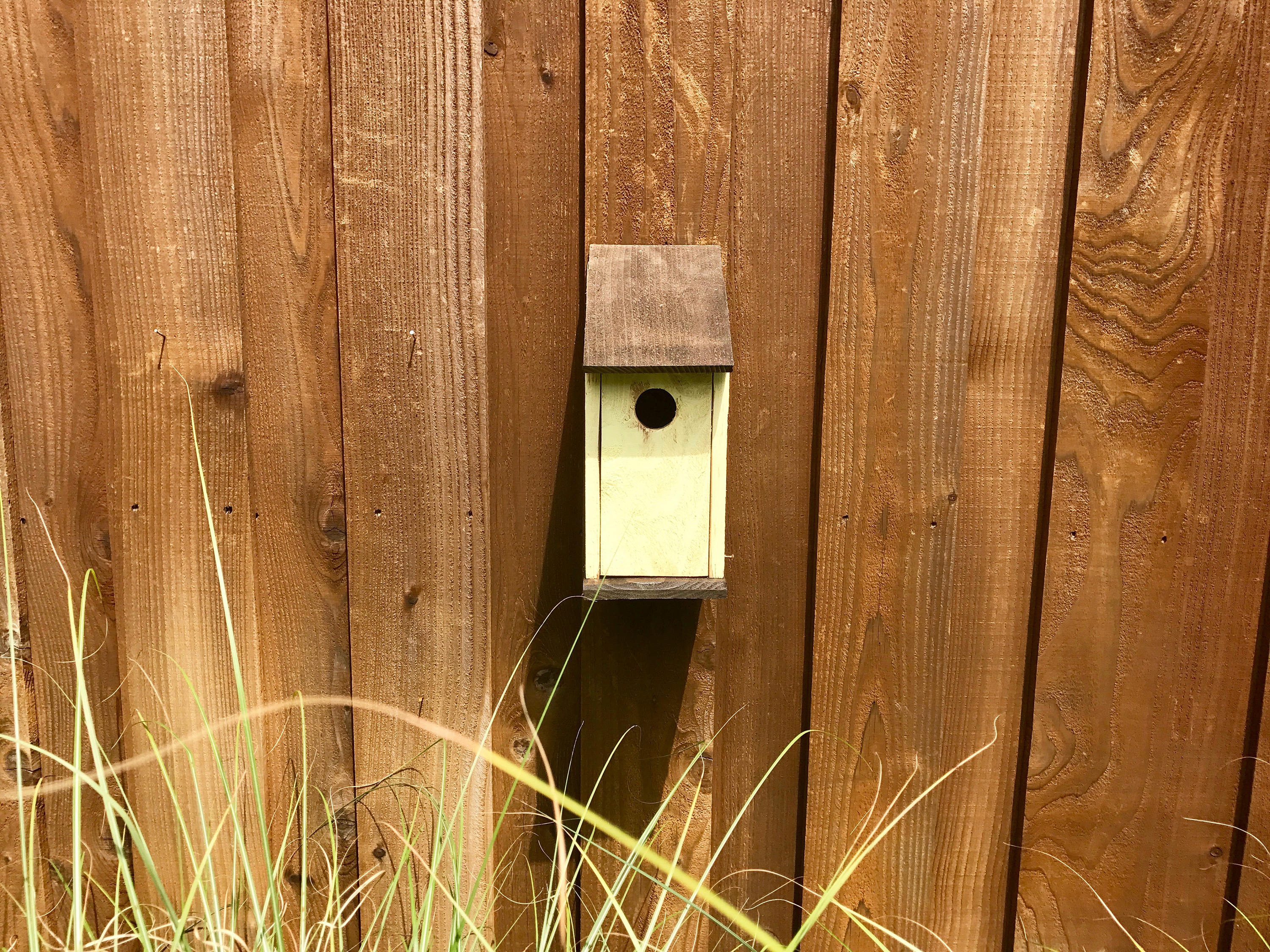 Rustic Bluebird House Cedar Wood Backyard Decor Garden | Etsy