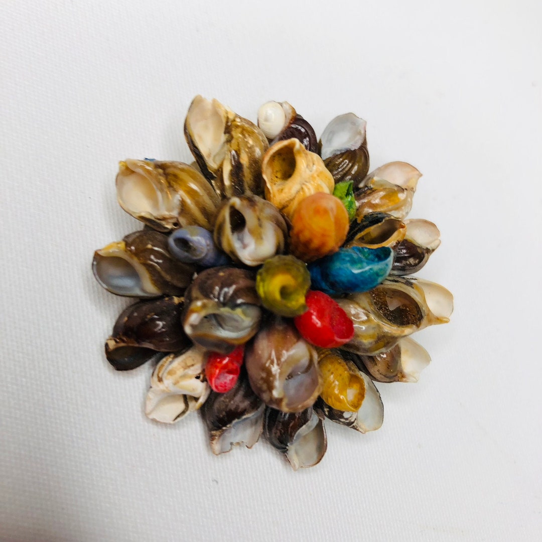VTG 90s Broach Circular Sea Shell Pin Colorful Layered Shells, Travel ...