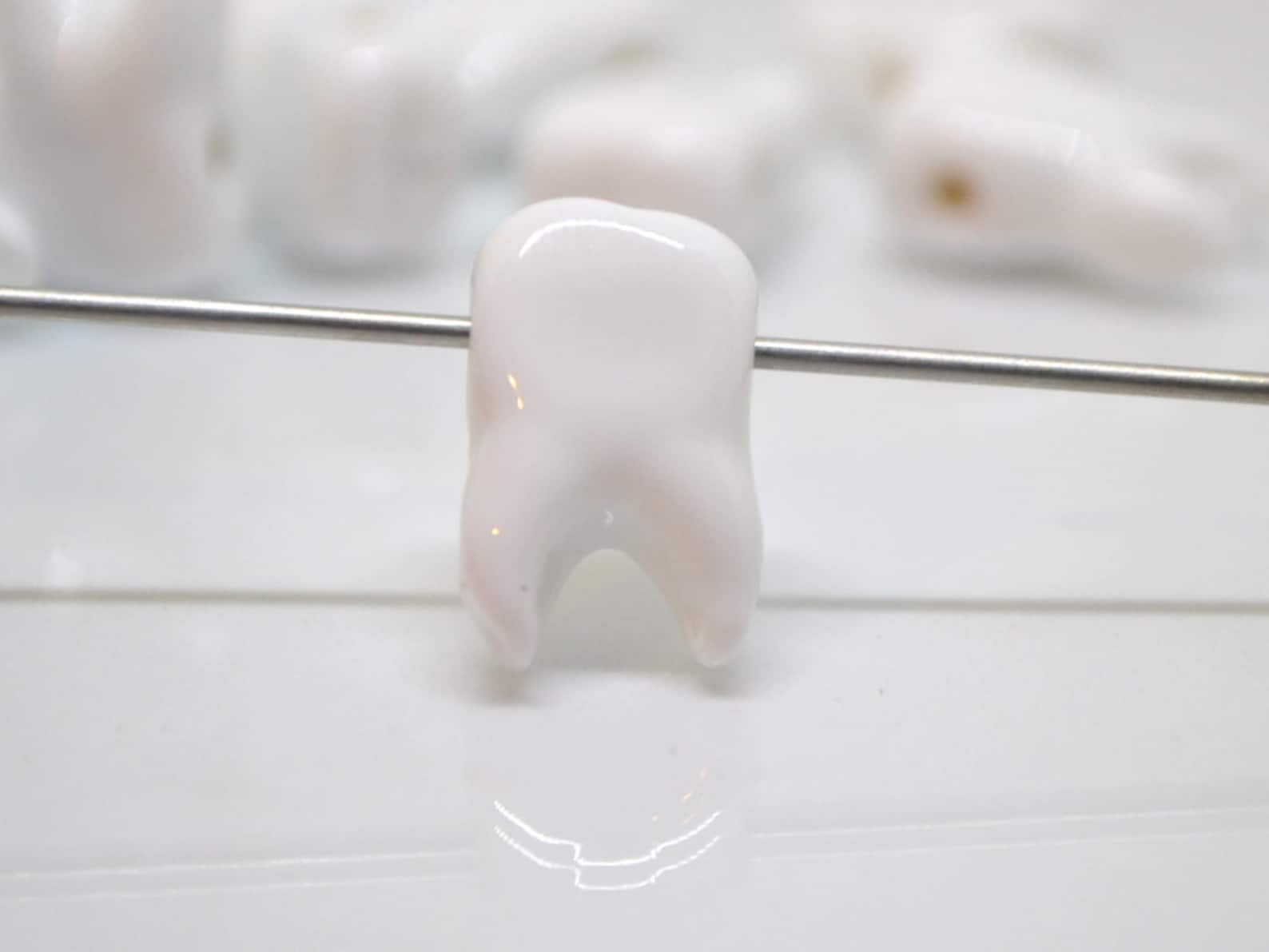 Glass Tooth Beads Horizontal Hole Dentist Gift Human Teeth - Etsy
