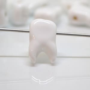 Glass Tooth Beads, Horizontal Hole, Dentist Gift, Human Teeth Beads ...