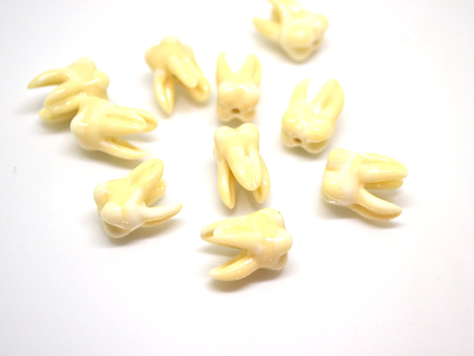 Glass Root Tooth Beads Molar Beads Dentist Gift Prank Teeth - Etsy