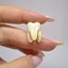 Glass Root Tooth Beads, Molar Beads, Dentist Gift Prank, Teeth Beads ...