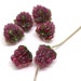 Dark Fuchsia Lampwork Raspberry, Frost Glass Berry, Glass Raspberries ...