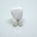 Glass Tooth Beads - Dentist Gift- Teeth Beads - Dentist Beads Funny ...