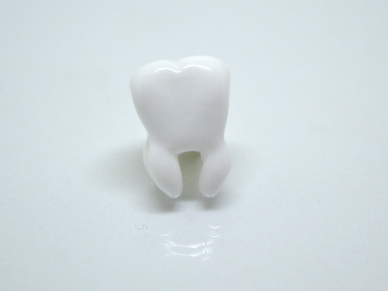 Glass Tooth Beads Dentist Gift Teeth Beads Dentist Beads | Etsy