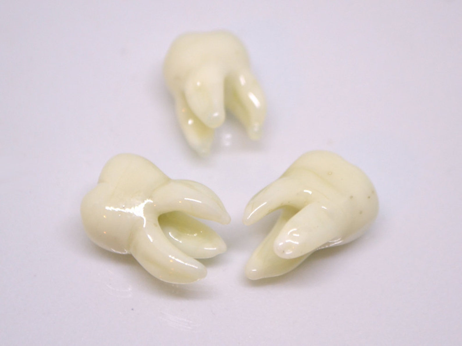 Glass Root Tooth Beads Molar Beads Dentist Gift Prank Teeth | Etsy