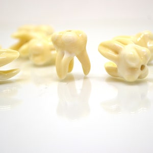 Glass Root Tooth Beads, Molar Beads, Dentist Gift Prank, Teeth Beads ...