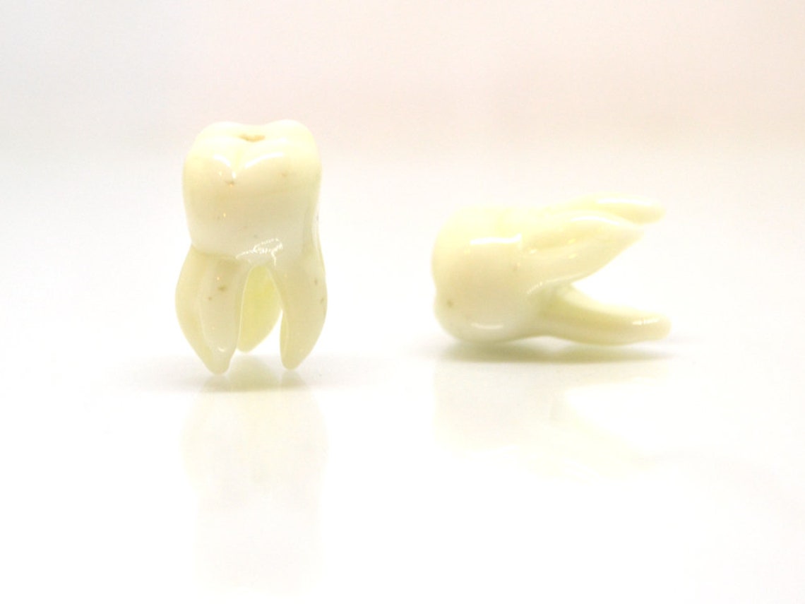 Glass Root tooth beads Molar beads Dentist gift prank Teeth | Etsy