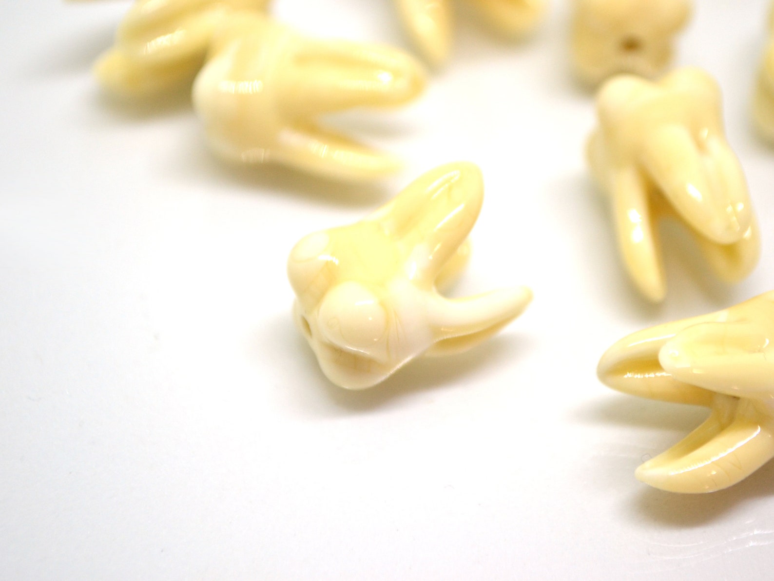 Glass Root Tooth Beads Molar Beads Dentist Gift Prank Teeth - Etsy