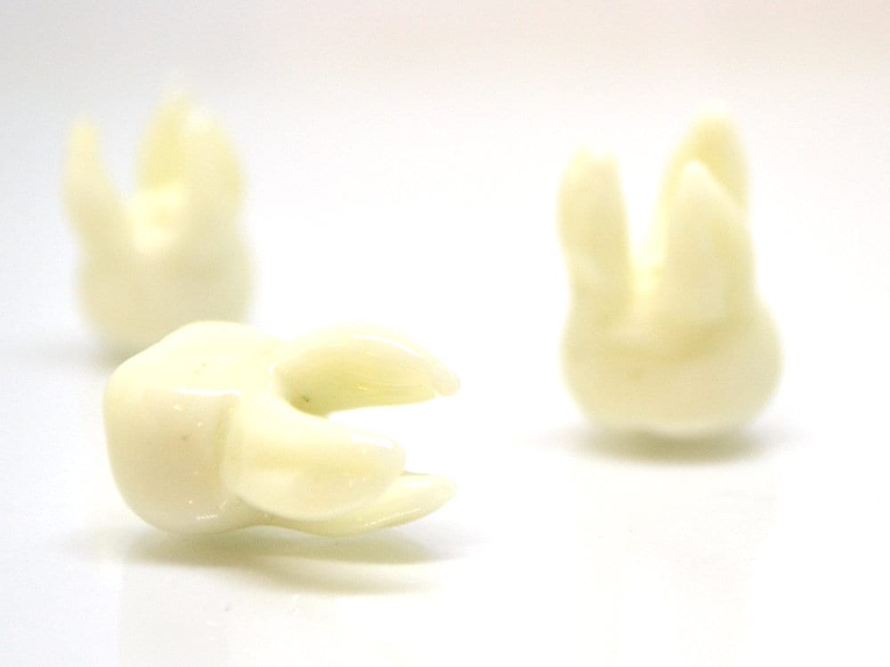 Glass Root tooth beads Molar beads Dentist gift prank Teeth | Etsy