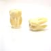 Glass Root Tooth Beads, Molar Beads, Dentist Gift Prank, Teeth Beads ...
