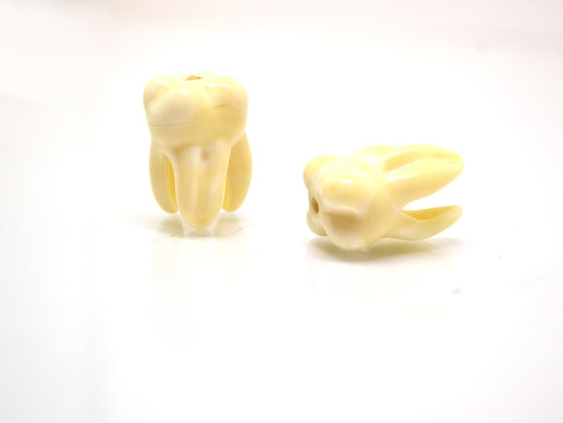 Glass Root Tooth Beads Molar Beads Dentist Gift Prank Teeth - Etsy