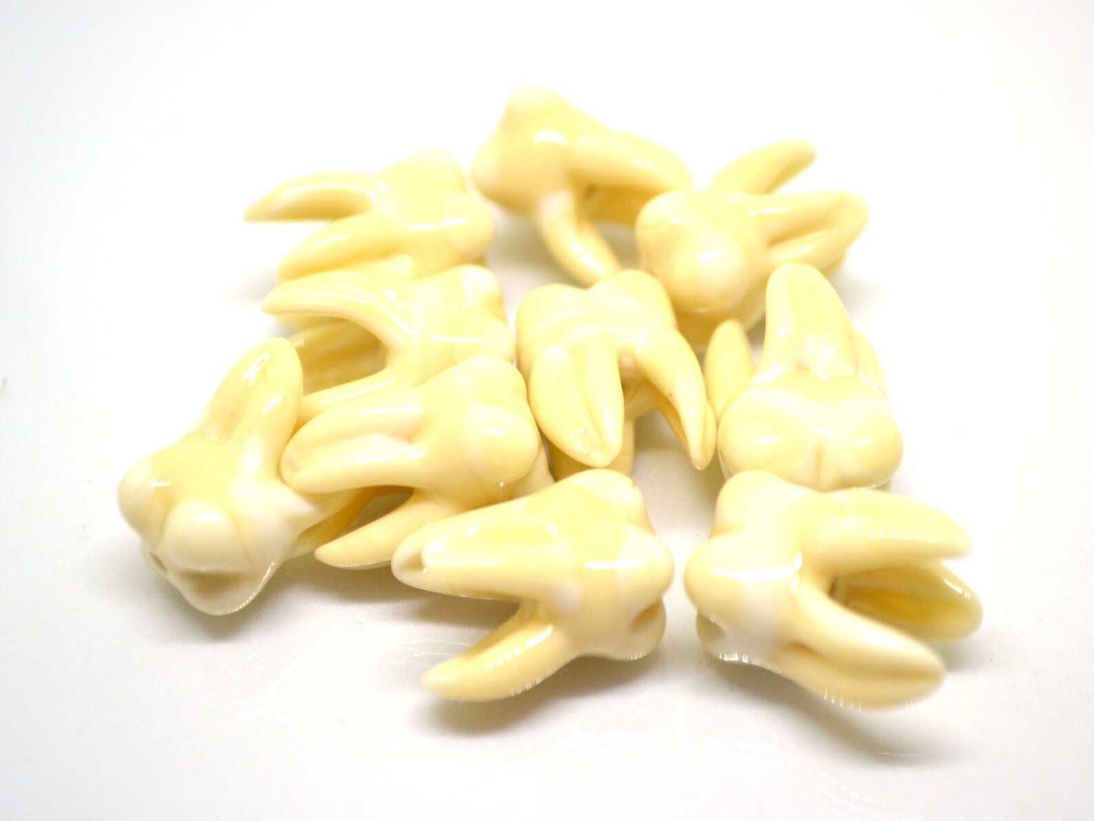 Glass Root Tooth Beads Molar Beads Dentist Gift Prank Teeth - Etsy