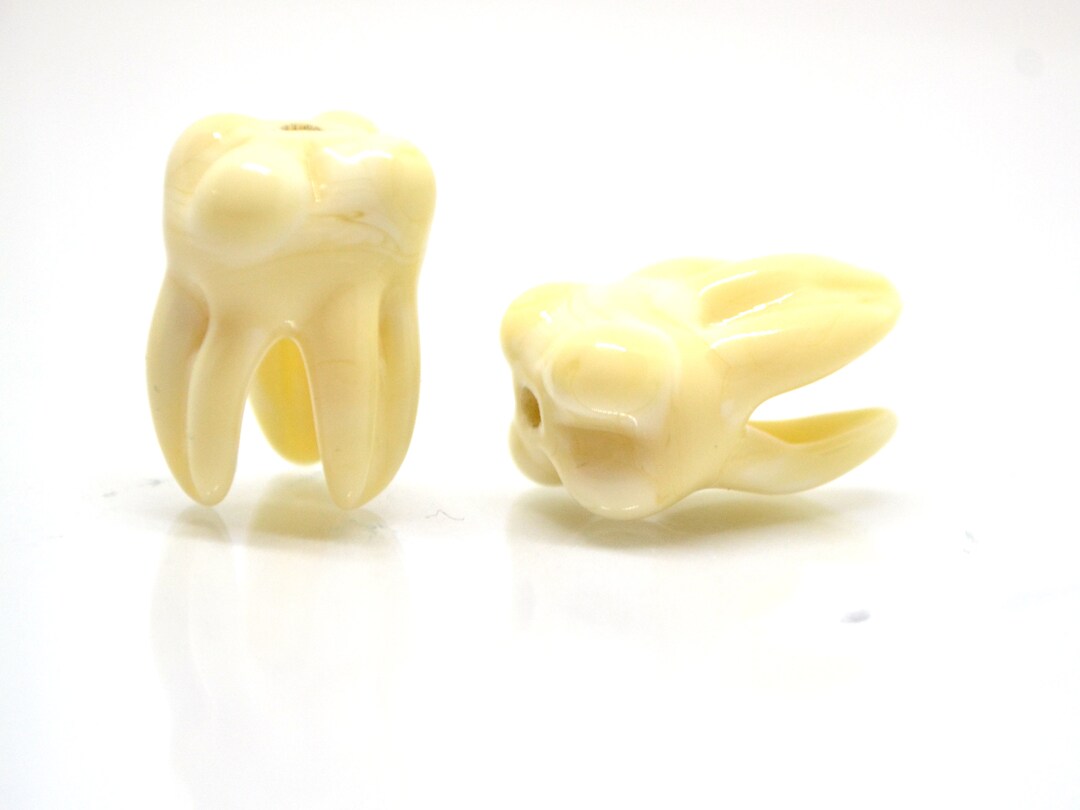 Glass Root Tooth Beads, Molar Beads, Dentist Gift Prank, Teeth Beads ...