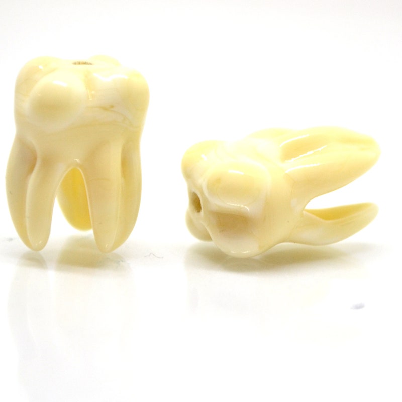 Fake Human Teeth - Etsy