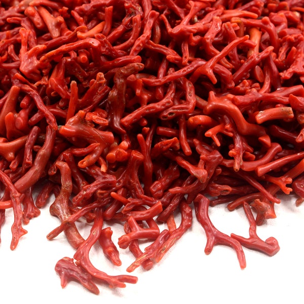Natural Red Coral - Etsy