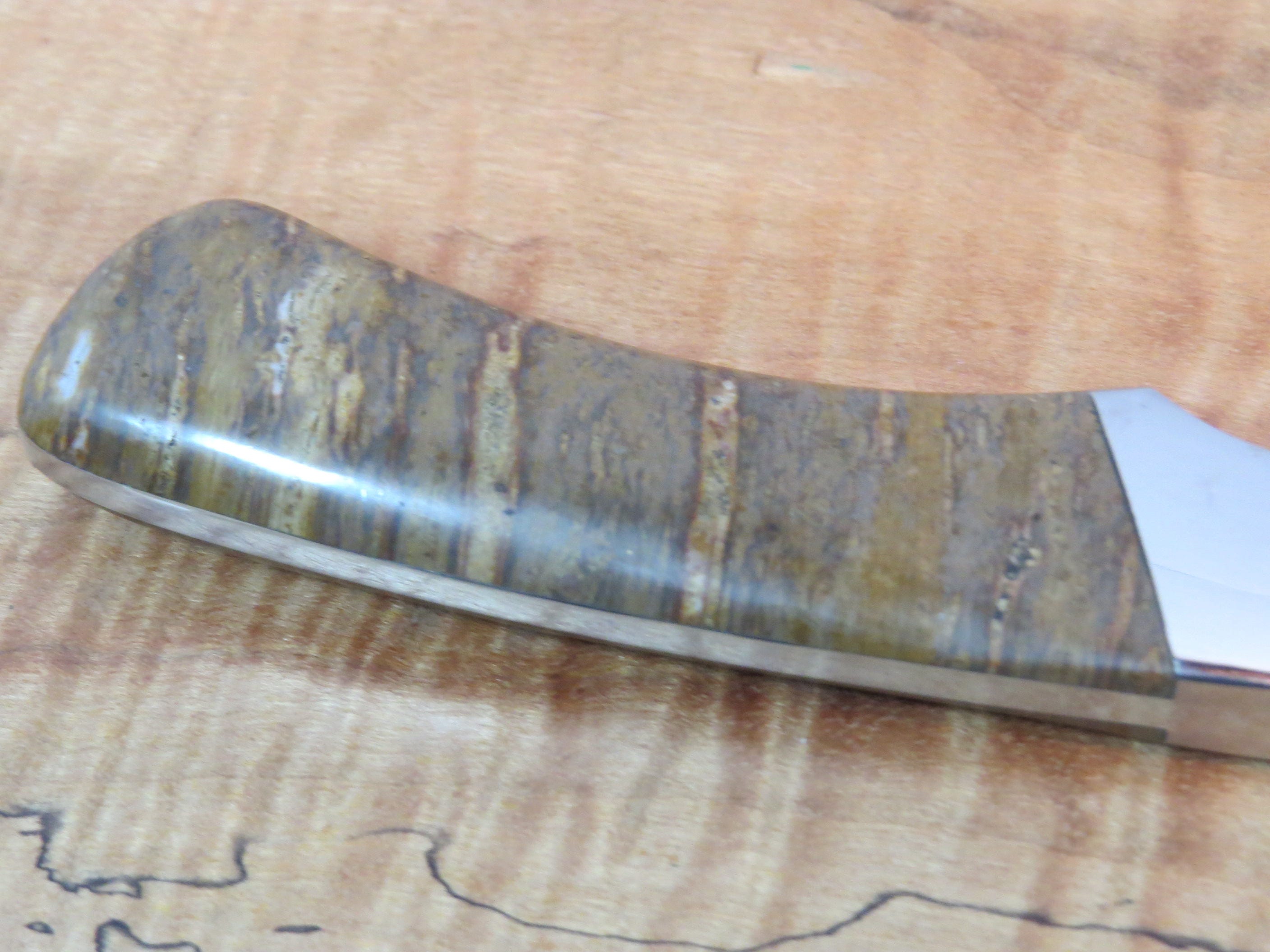Petrified Wood Scales on Stainless Steel - Etsy