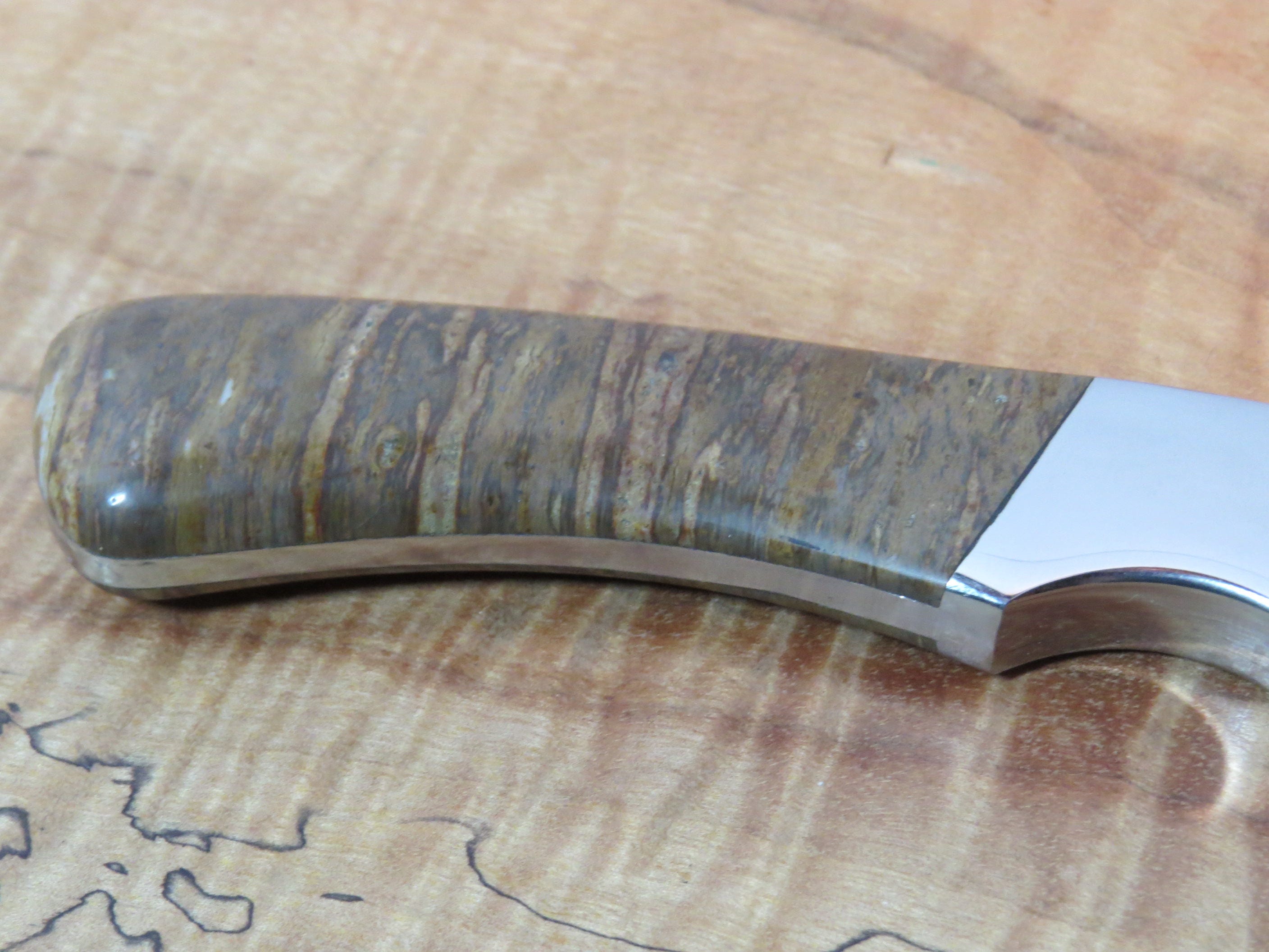 Petrified Wood Scales on Stainless Steel - Etsy
