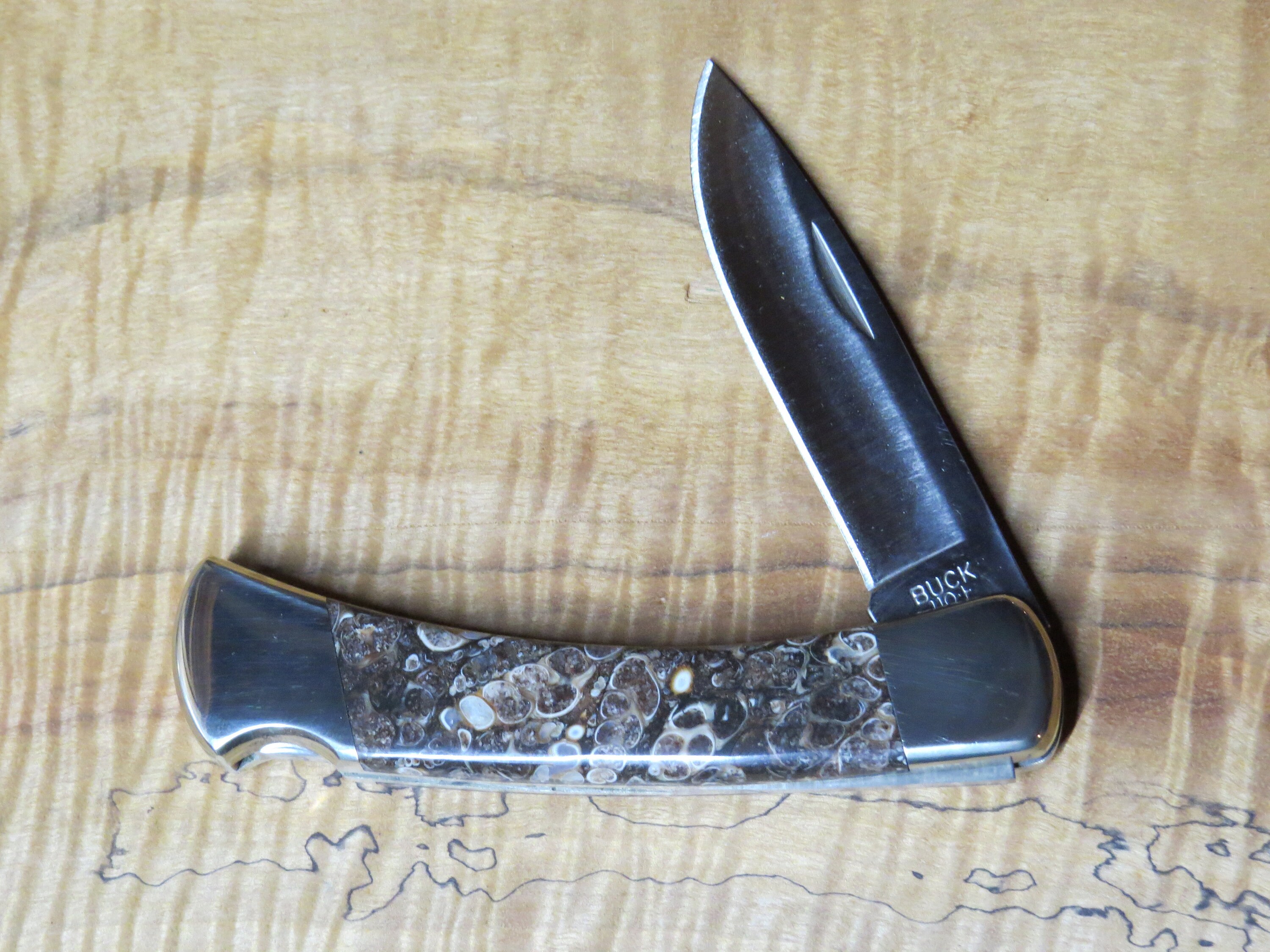 Custom Buck 110 Knife with Turritella Scales stone handled | Etsy