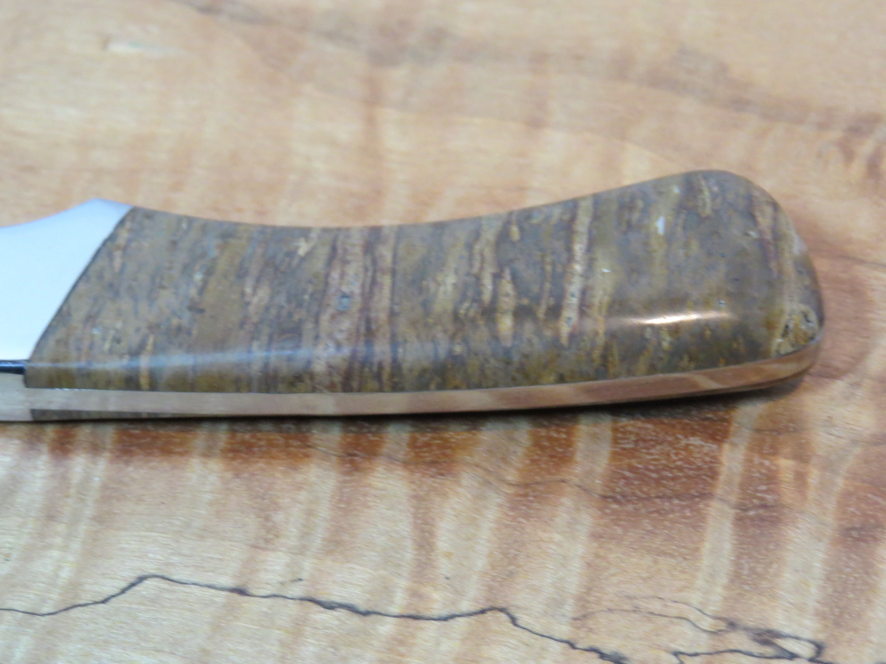 Petrified Wood Scales on Stainless Steel - Etsy