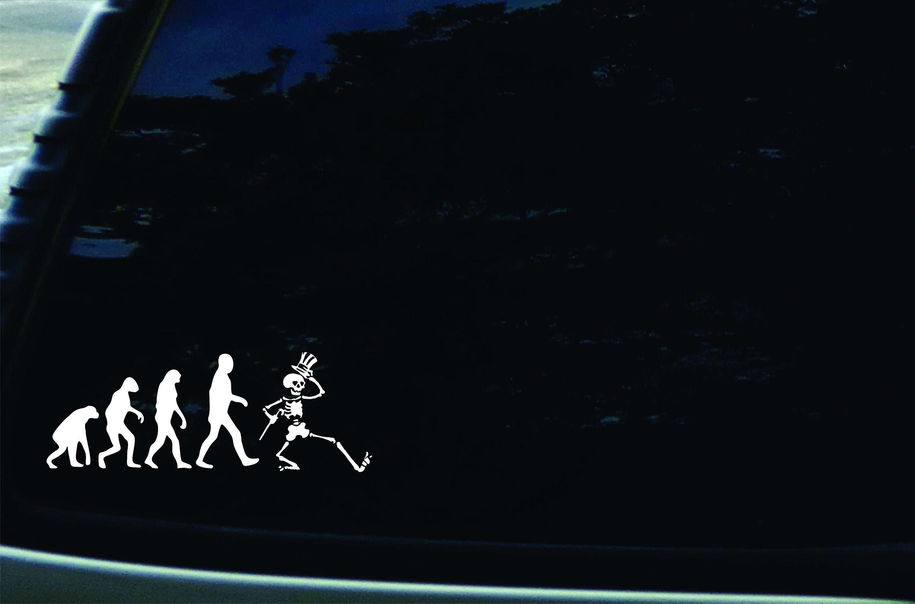 8 X 3 Skeleton GD Evolution Decal - Etsy