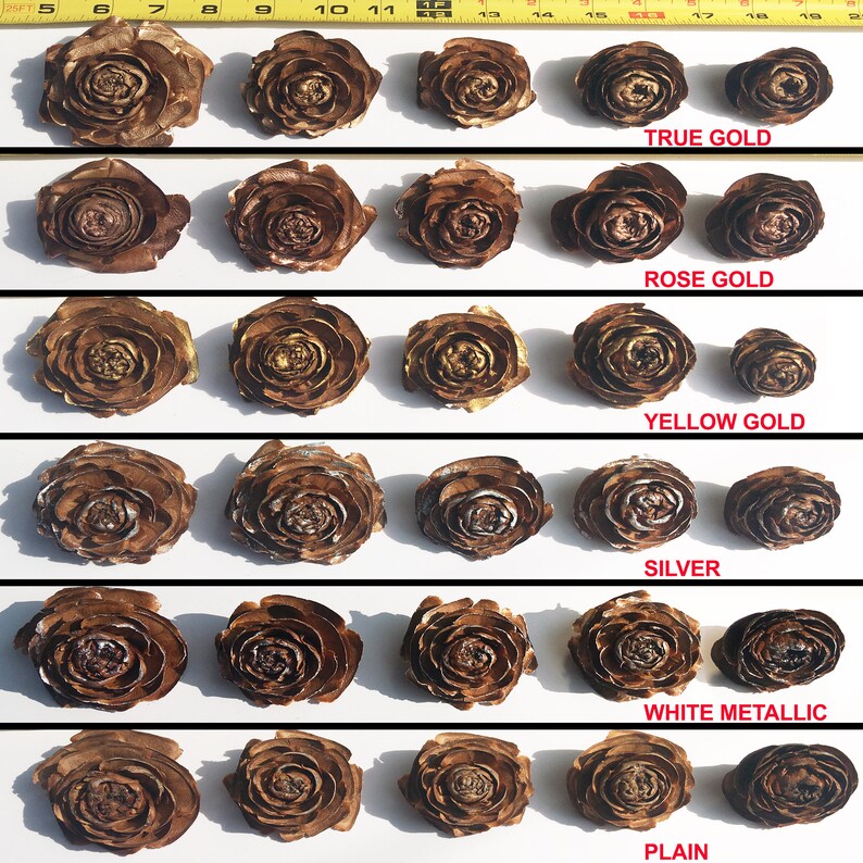 5 PAINTED PINECONE ROSES - Etsy