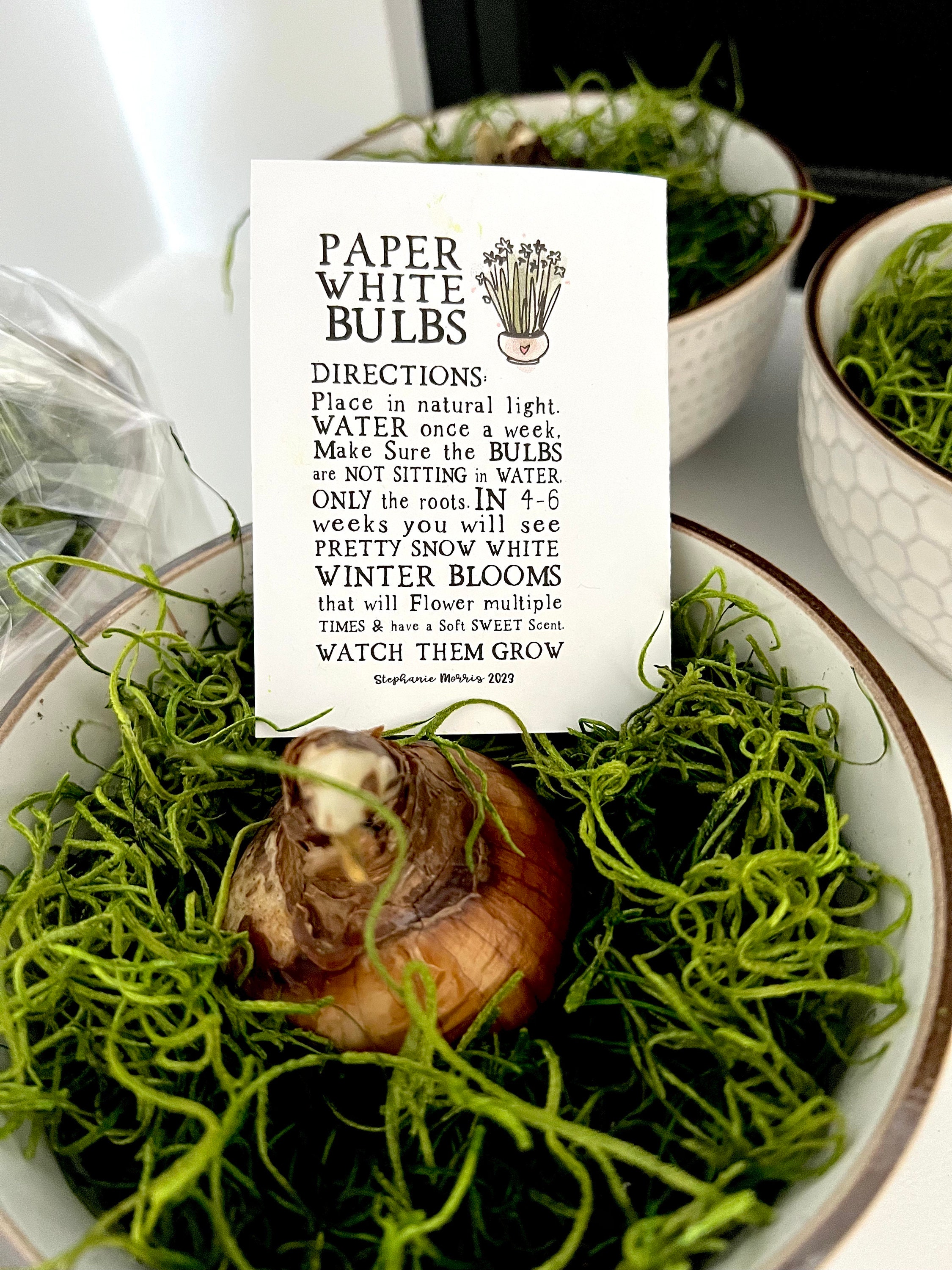 Printable Merry Christmas Tags for Paperwhite Bulb Gifts - Etsy