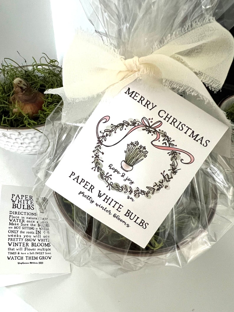 Printable Merry Christmas Tags for Paperwhite Bulb Gifts - Etsy