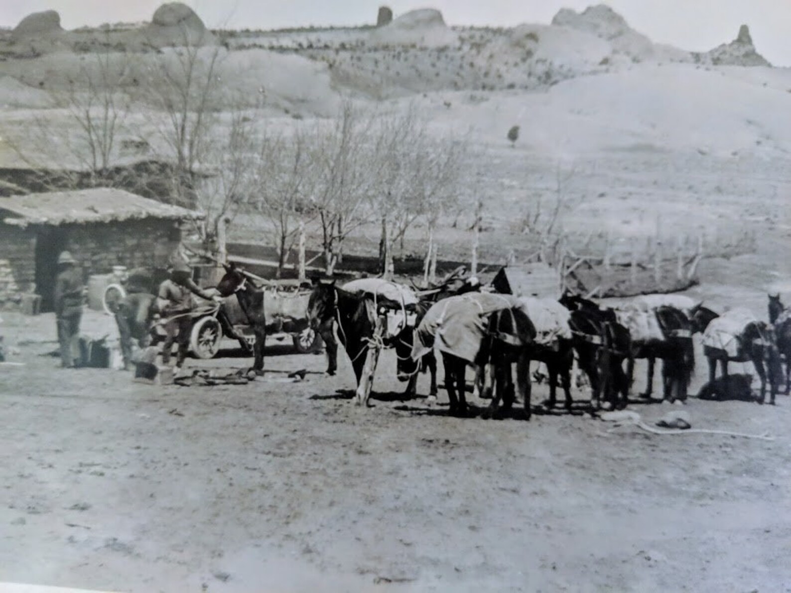 1913 Zane Grey Outfit Photograph Hand Written Description - Etsy