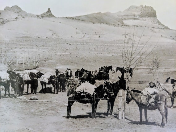 1913 Zane Grey Outfit Photograph Hand Written Description | Etsy