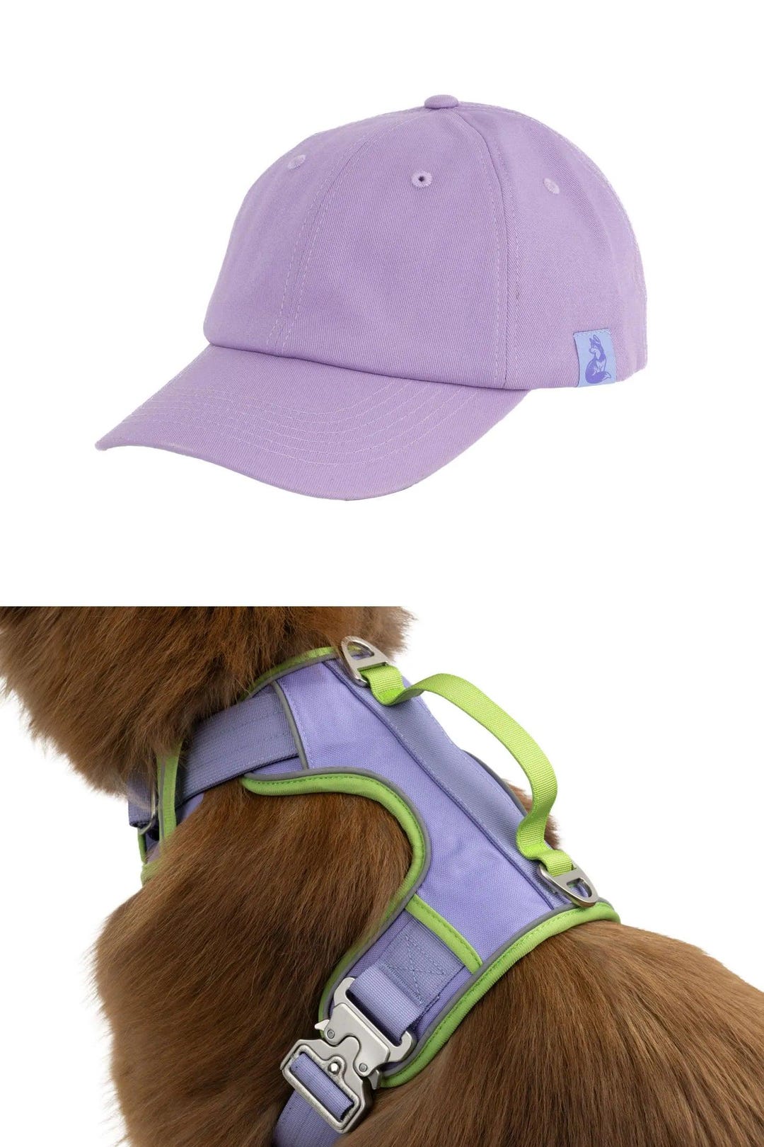 Baseball Cap With Harness Matching Set - Etsy