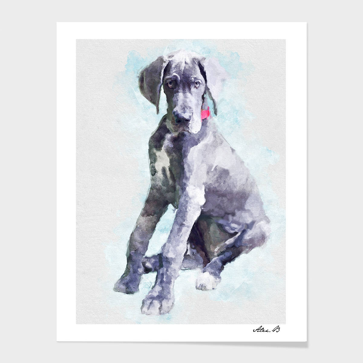 Great Dane Dog original painting Watercolor drawing commission | Etsy