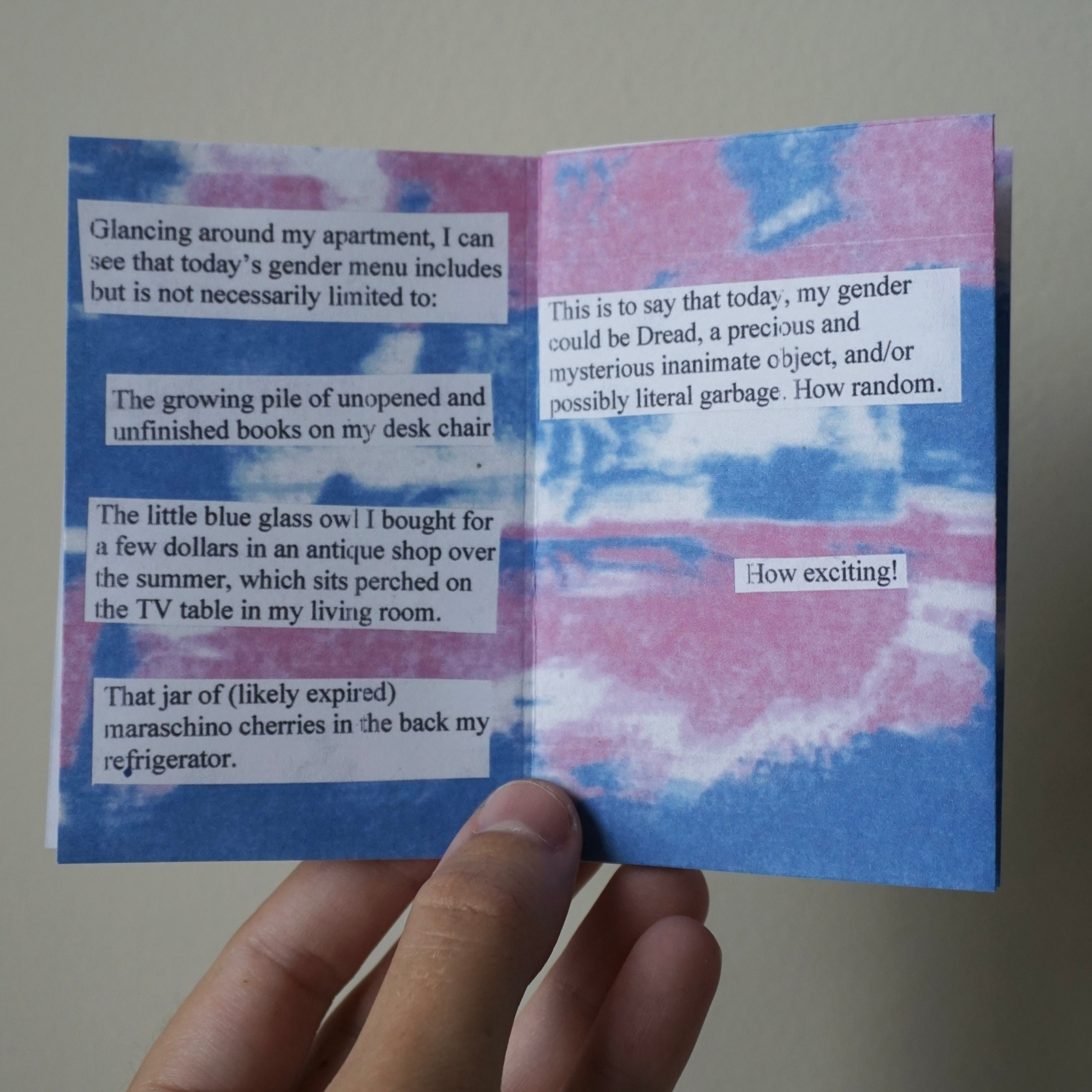 Gender as Reverberation a Queer Mini Zine - Etsy