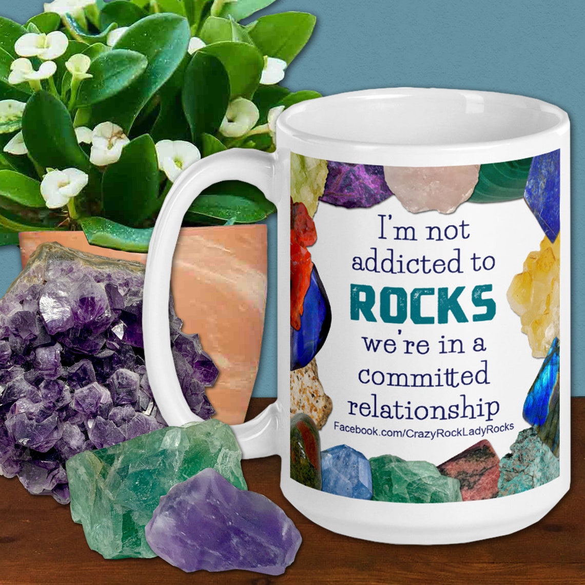 Funny Rock Collector Meme Mug Im Not Addicted to Rocks Were - Etsy