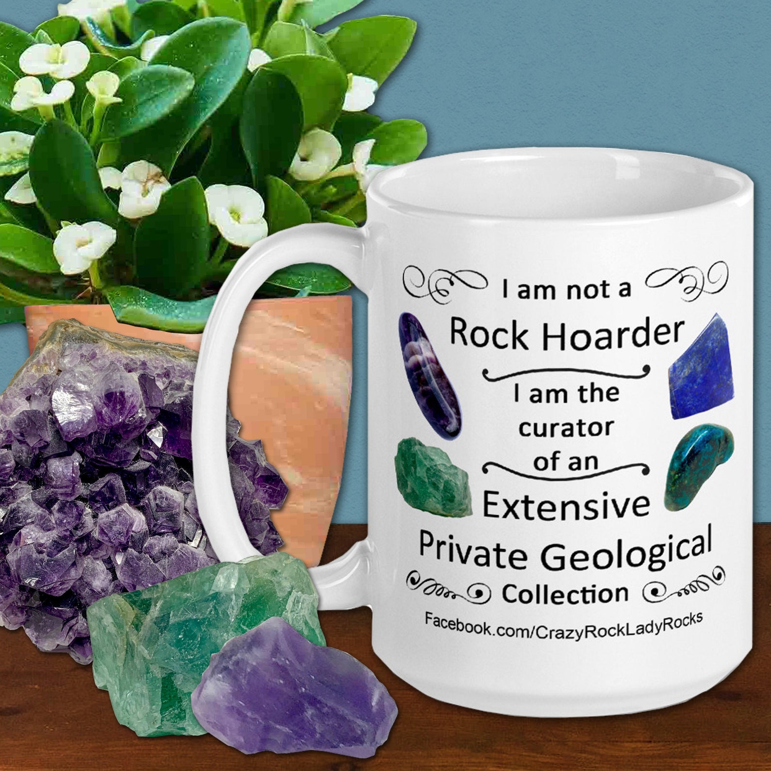Humorous Rock Hoarder Mug, Funny Rockhound Meme Mug, Rock Collector ...