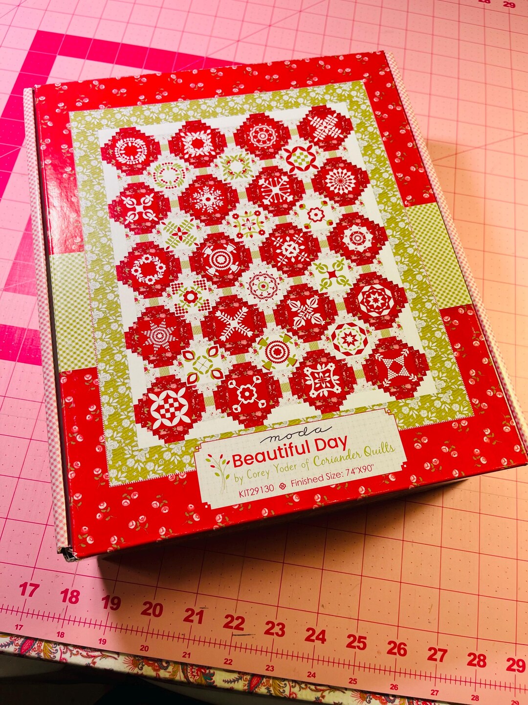 RARE FIND Beautiful Day Quilt Kit by Corey Yoder of Coriander Quilts ...