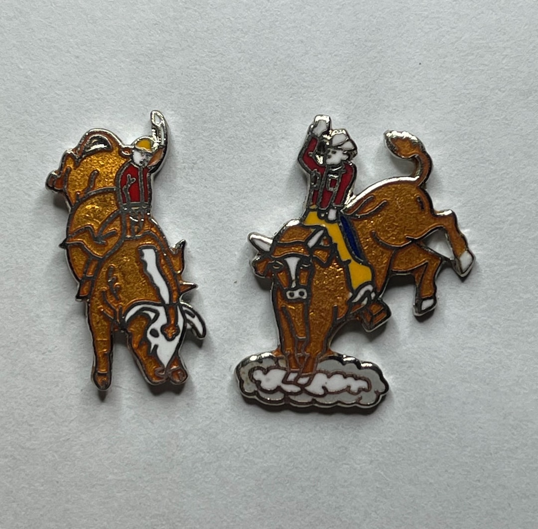 Lot of 2 Bull Riding Pins ~ Cowboy 1990 Vintage With Extended Post and ...