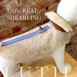 Shearling Dog Coat, Shearling Dog Jacket, Dog Coat, Dog Pet Clothing ...