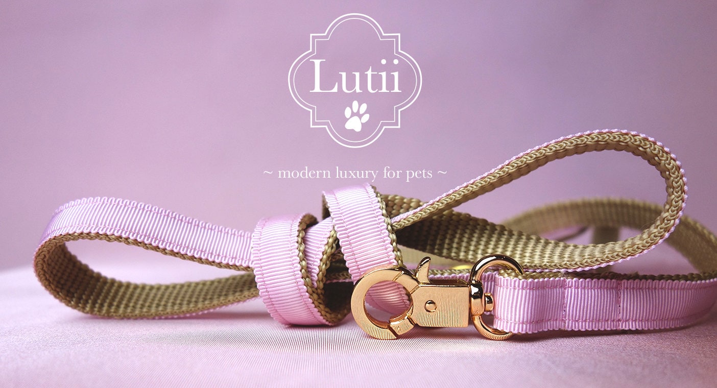 Dog Leash Best Small Dog Leash Expensive Designer Hardware - Etsy