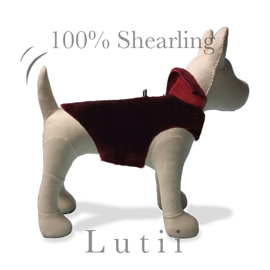 Shearling Dog Harness, Dog Jacket, Shearling Dog Coat, Dog Clothing ...
