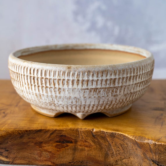 Round Bonsai Pot Handmade With Texture in Beige White Glaze. - Etsy