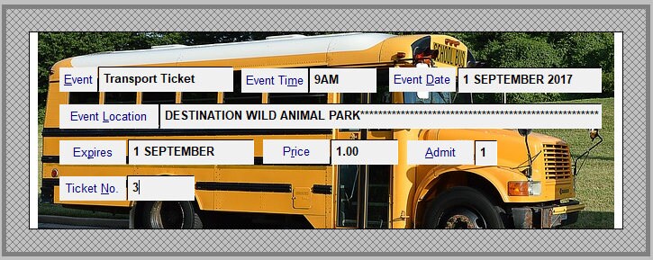 Ticket Printing Software - Etsy