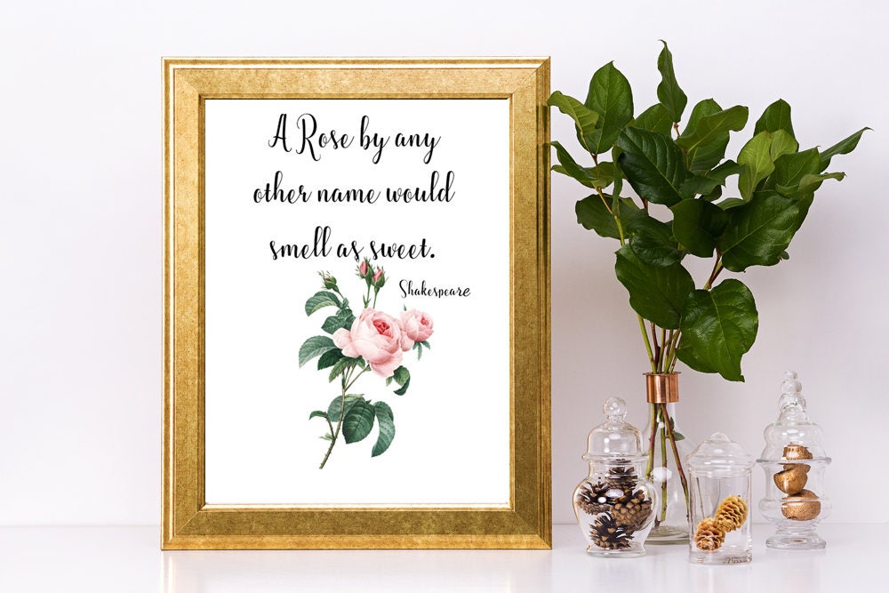 A Rose by Any Other Name Would Smell as Sweet, Shakespeare Quote ...