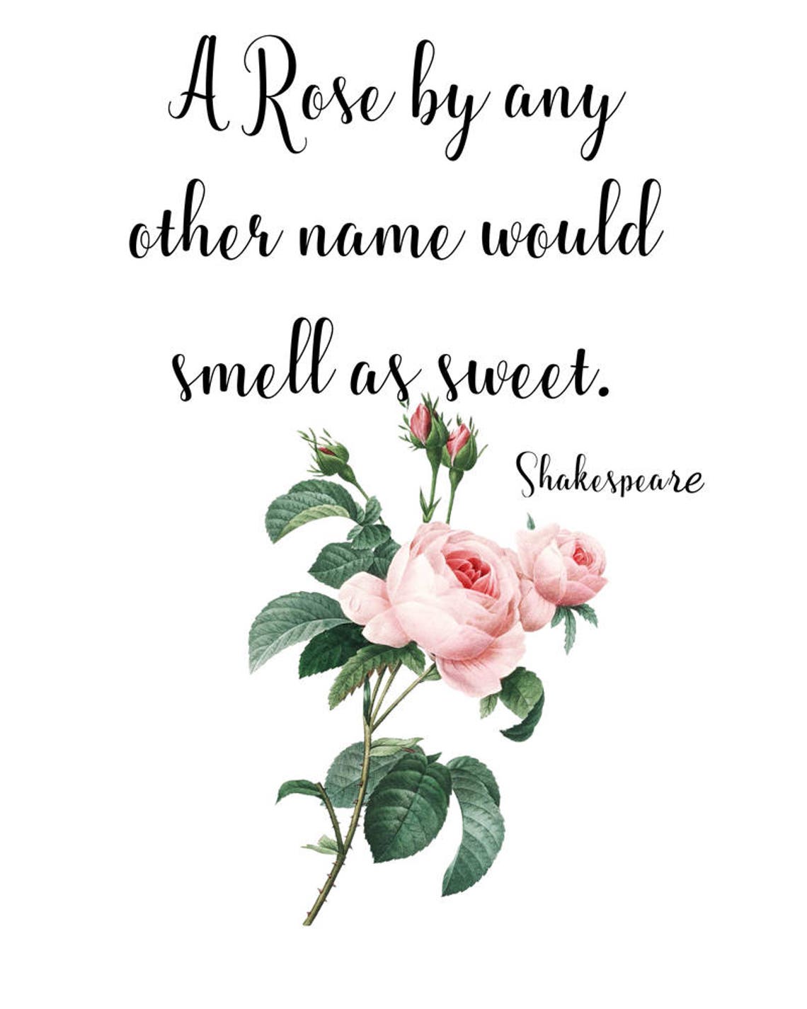 A Rose by Any Other Name Would Smell as Sweet, Shakespeare Quote ...