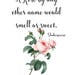 A Rose by Any Other Name Would Smell as Sweet, Shakespeare Quote ...